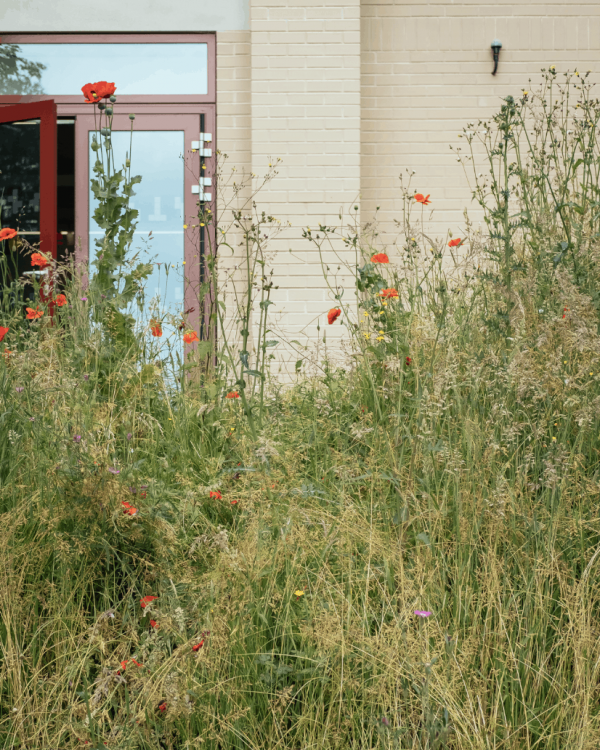 Katherine Johnson Building - Feilden Fowles