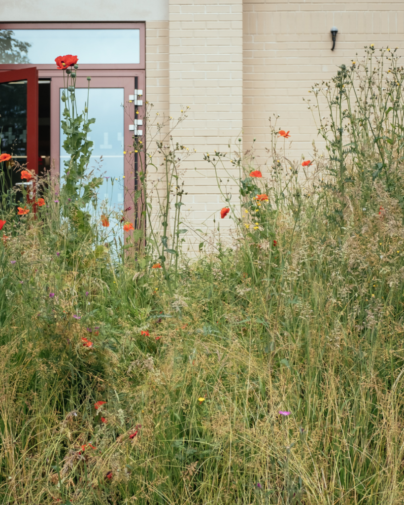 Katherine Johnson Building - Feilden Fowles