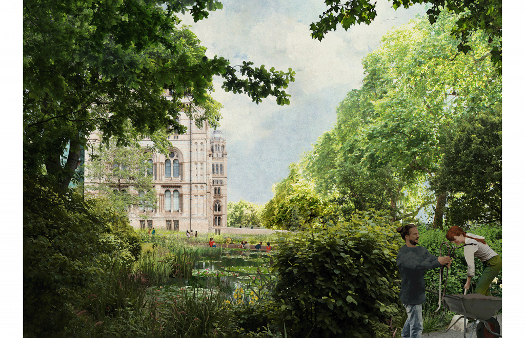 Urban Nature Project, Natural History Museum - Feilden Fowles