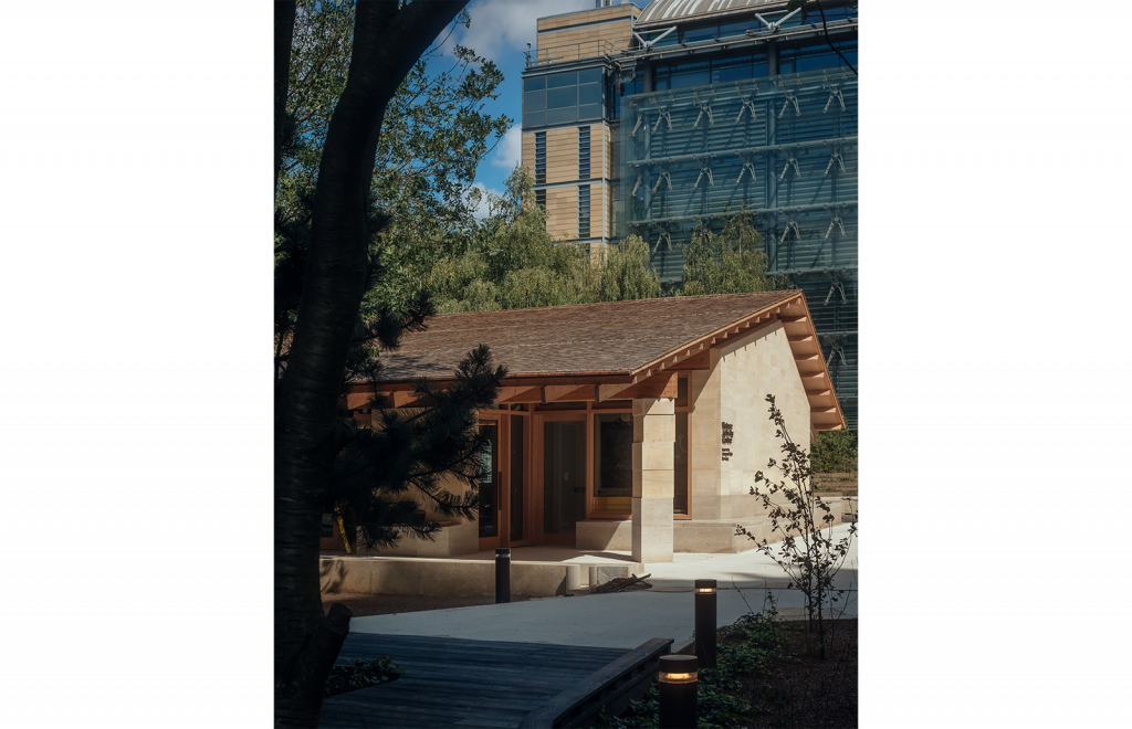 Urban Nature Project, Natural History Museum - Feilden Fowles