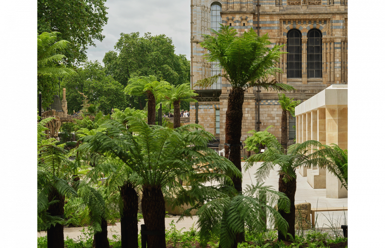 Urban Nature Project, Natural History Museum - Feilden Fowles